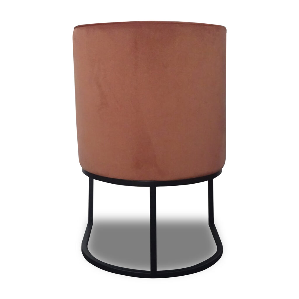 Rosa Dining Chair (DCA-42901) - Edgecombe